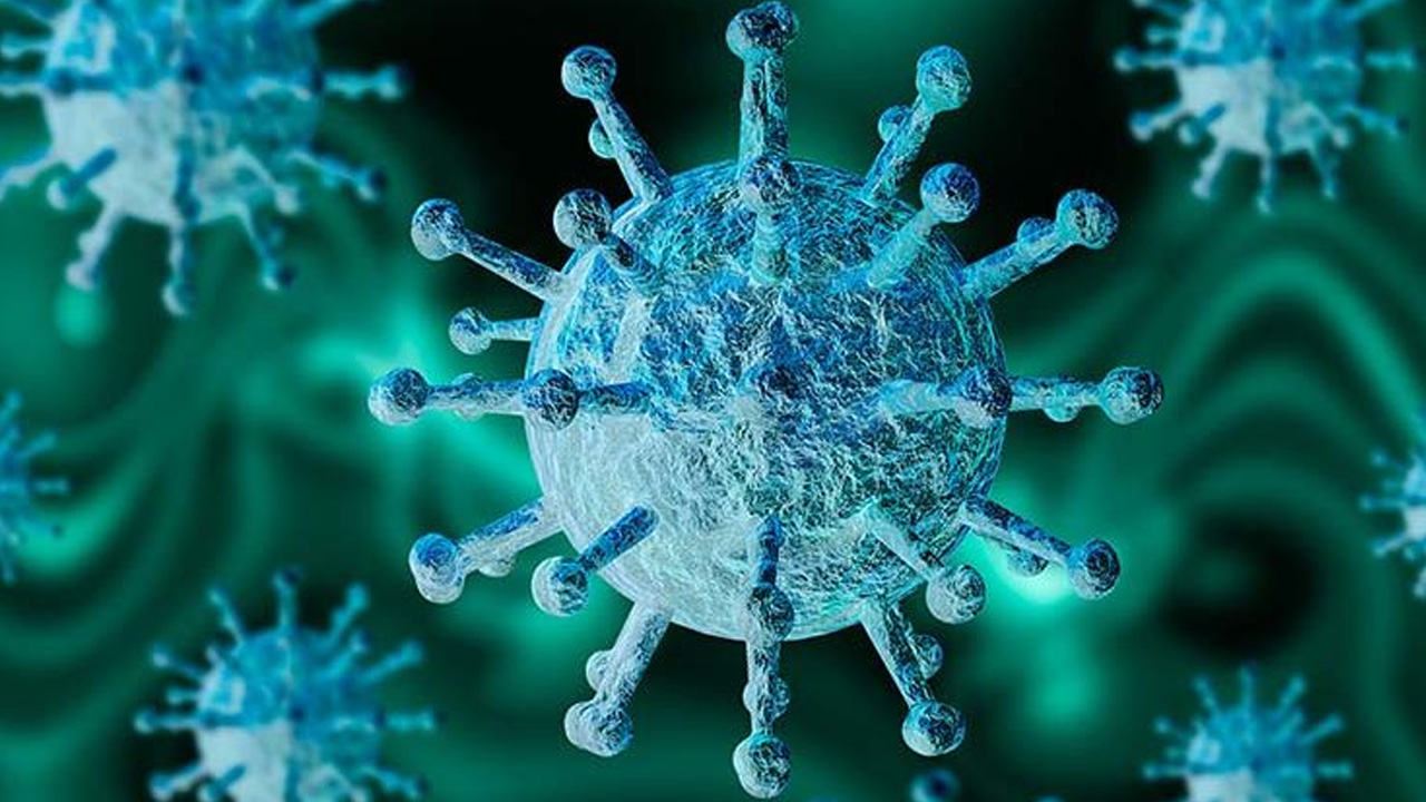 Covid-19 Awareness - Prevention tips - Trintoc (Penal) Credit Union